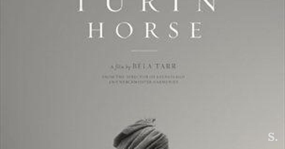 Torinski konj - siol.net