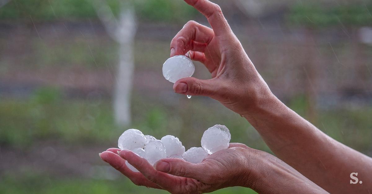 Strošek, ki ga čuti vsak Slovenec: podnebne spremembe udarile z vso ...