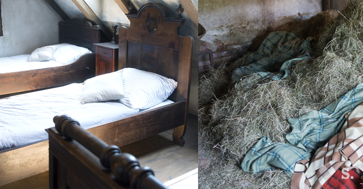 Primerjava bogate in siromašne kmetije - siol.net