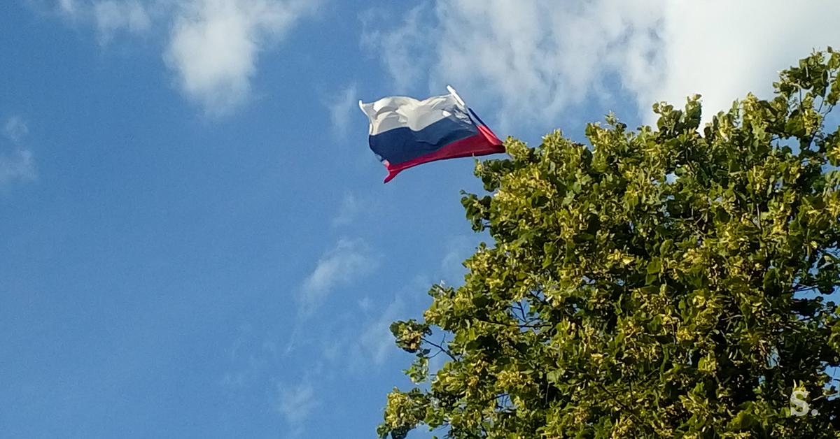 Kaj pa vam simbolizira ljubezen do domovine? - siol.net