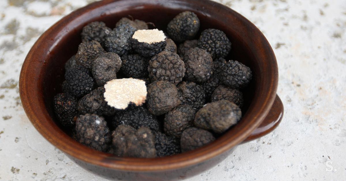 Lovec na tartufe: Nisem mogel verjeti svojim očem - siol.net