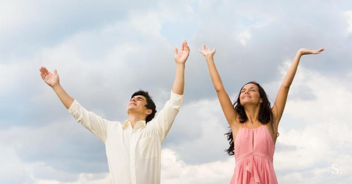 Plakat, ki vsrkava strupene snovi - siol.net