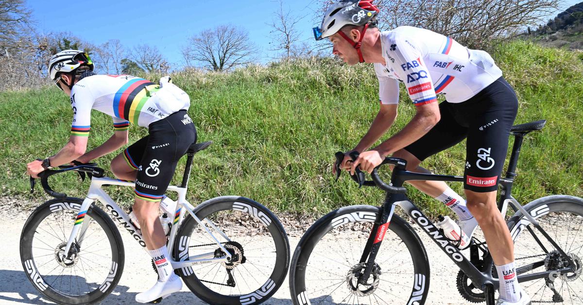 Domen Novak po Pogačarjevi bravuri: On je razred nad vsemi - siol.net