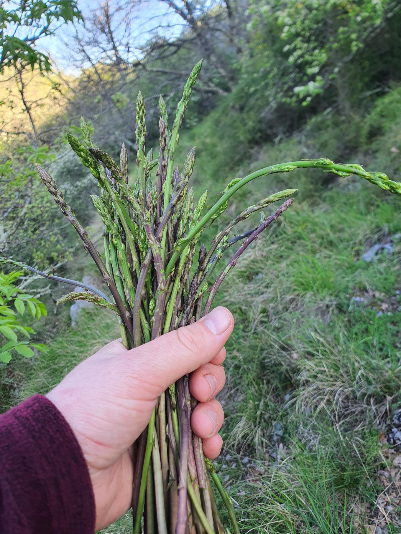 Vremenska napoved za prvomajske praznike: prihajajo poletne temperature ...