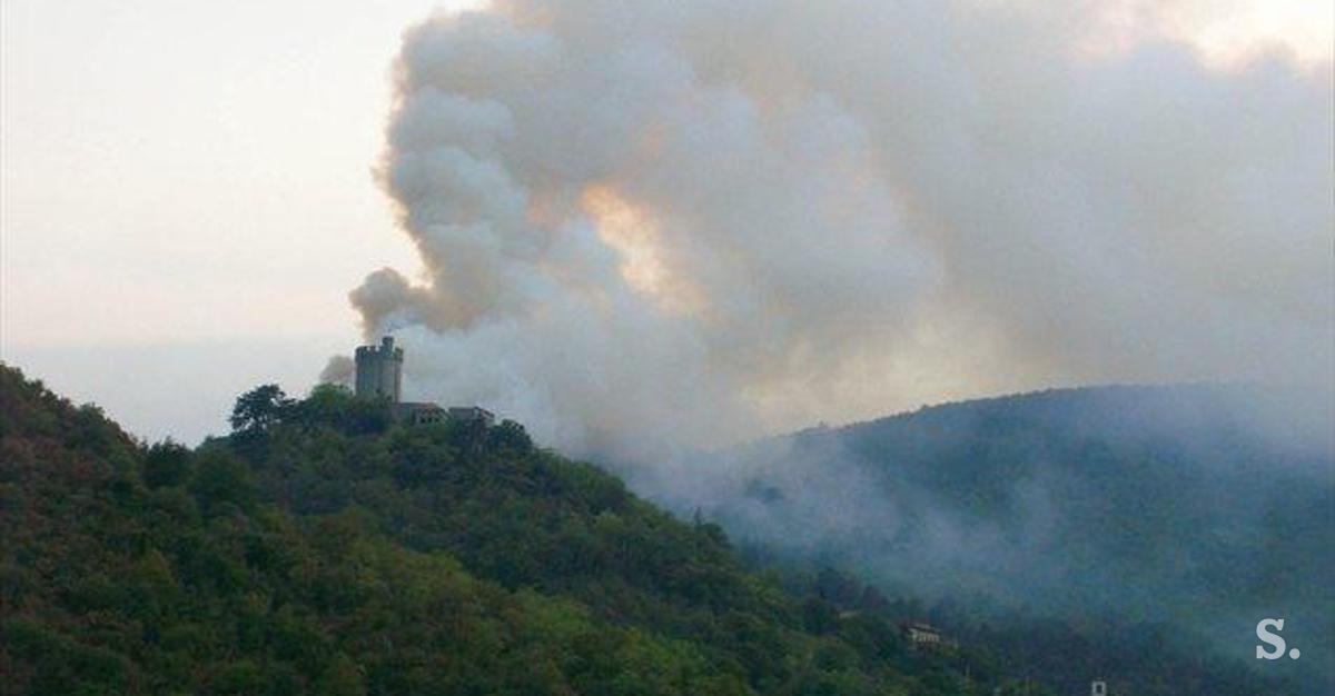 Nad Branikom nova požarna interventna pot - siol.net