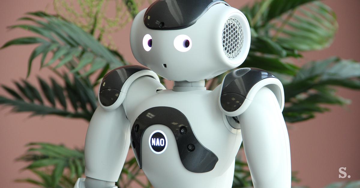 Roboti med nami: socializacija že v polnem teku - siol.net