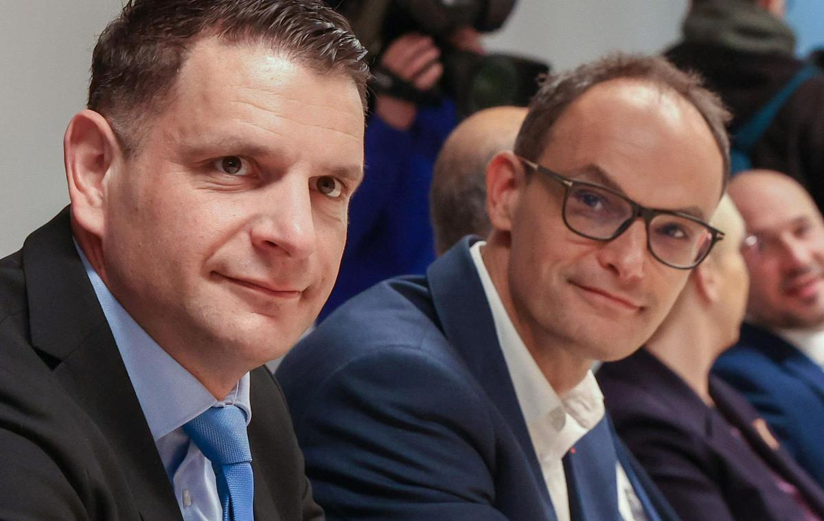 Logar: Domnevam, da so Stevanovića podprli vsi poslanci Demokratov ...