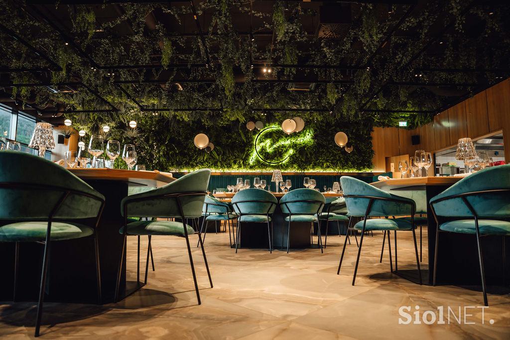 Galerija: Manu 1 - siol.net