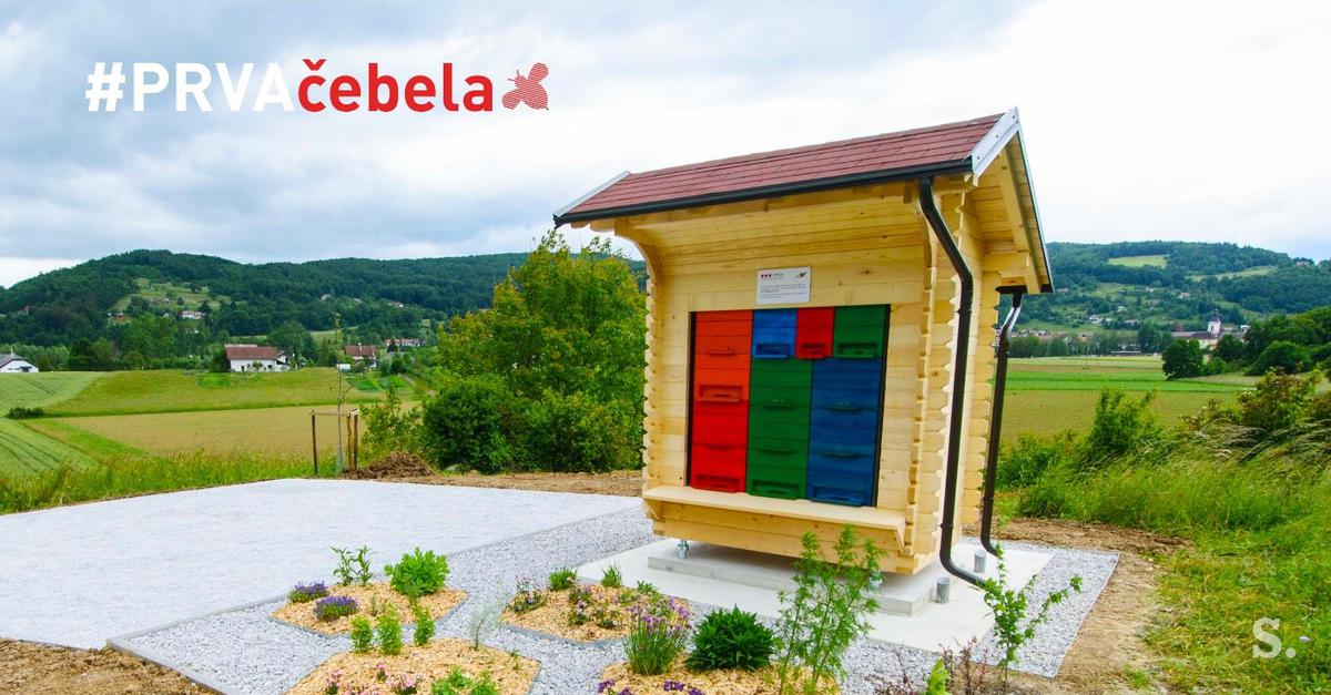 Čebelarska zveza Slovenije in Prva osebna zavarovalnica vnovič v ...