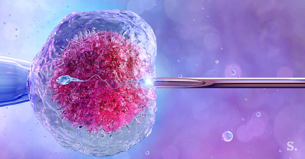 Makedonka pri 61 letih prvič postala mati - siol.net