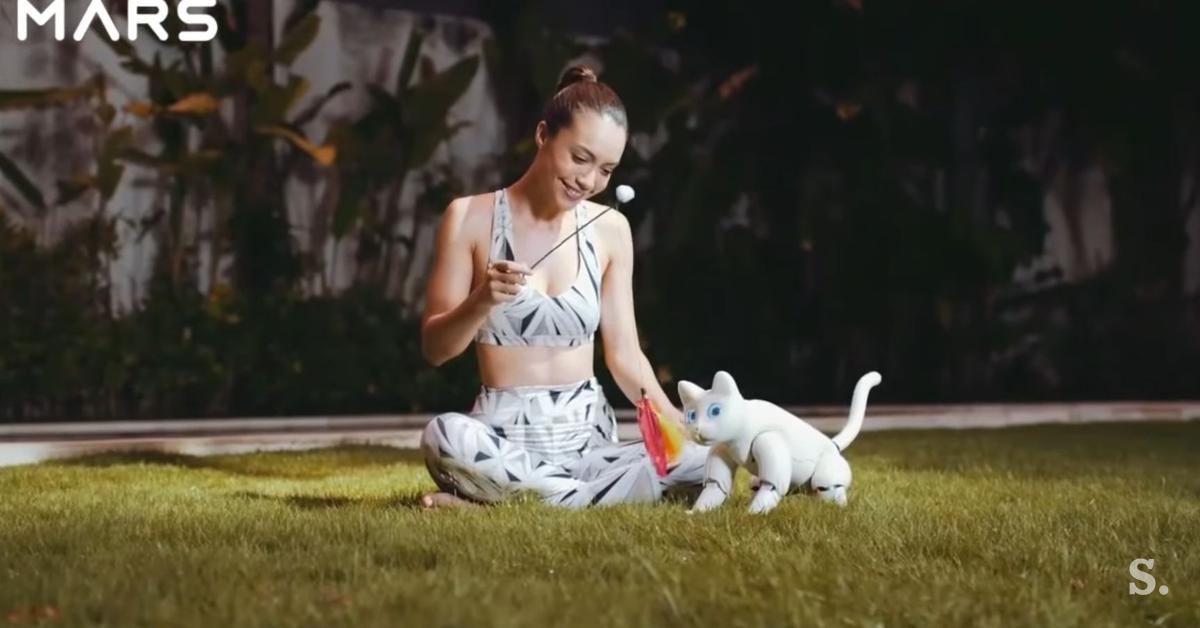 Bo prave mačke zamenjal robot, za katerim ni treba počistiti kakcev? # ...