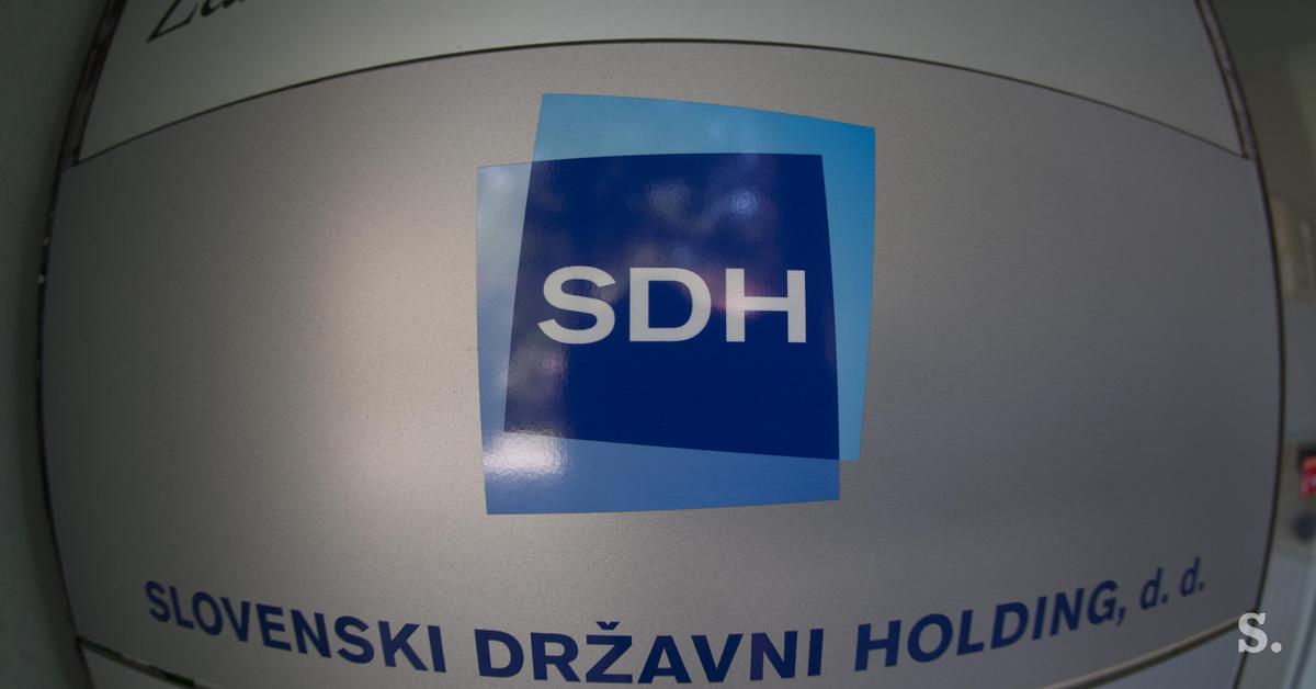 Strategija SDH s poudarkom na optimizaciji interesov deležnikov SDH - siol.net