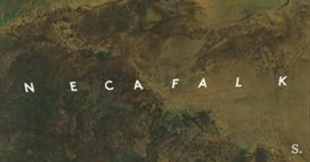 Neca Falk – Od daleč - siol.net