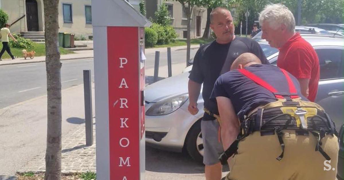 Župan Kranja sprožil akcijo zaradi kače v parkomatu: Intervencija se bo ...