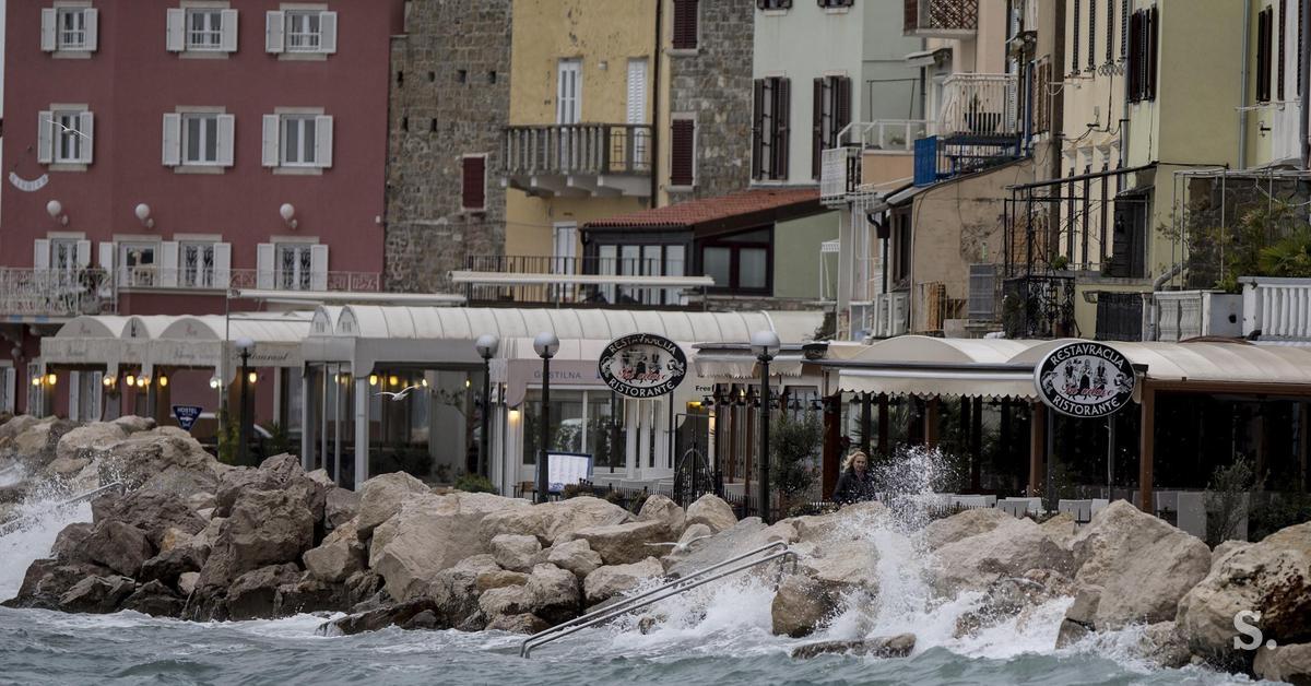 "Piran je z morja videti kot cigansko naselje." Občina: O Punti bomo ...