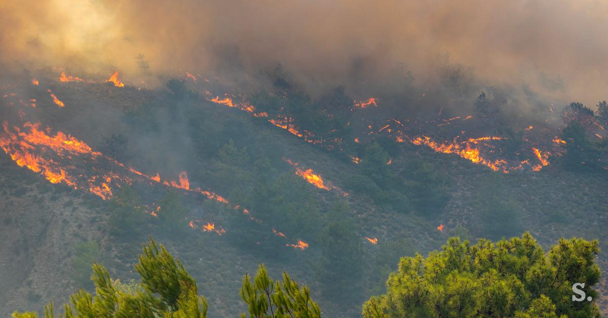 Boj z vetrom. Rodos ostaja v plamenih. #foto - siol.net